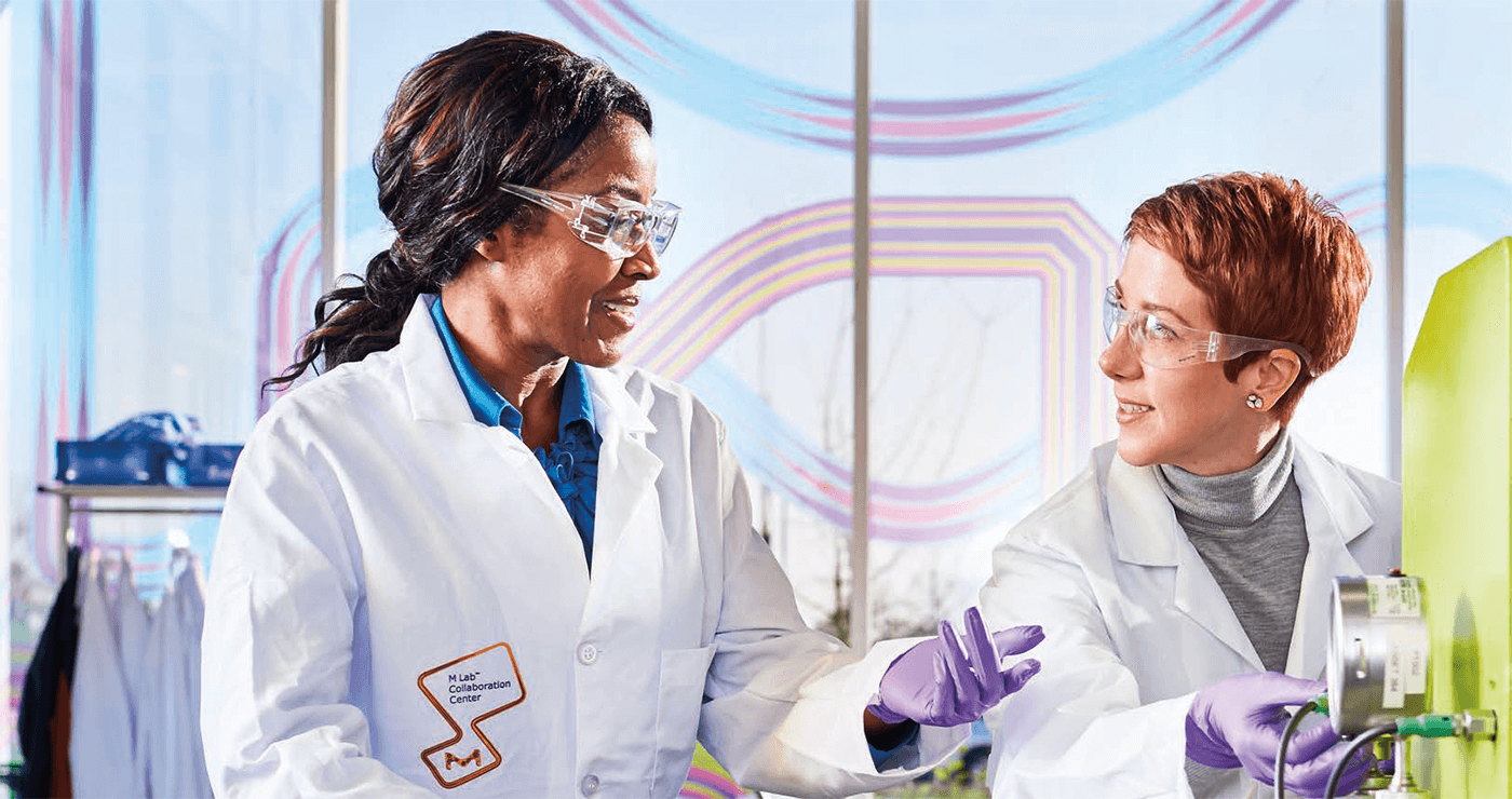 The Medicine Maker | Safety in Numbers
